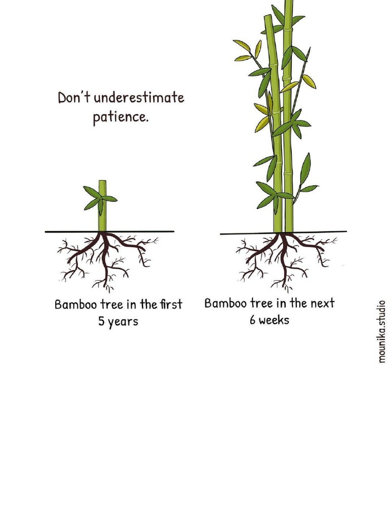 15 Powerful Visuals About Psychology & Life | PDF