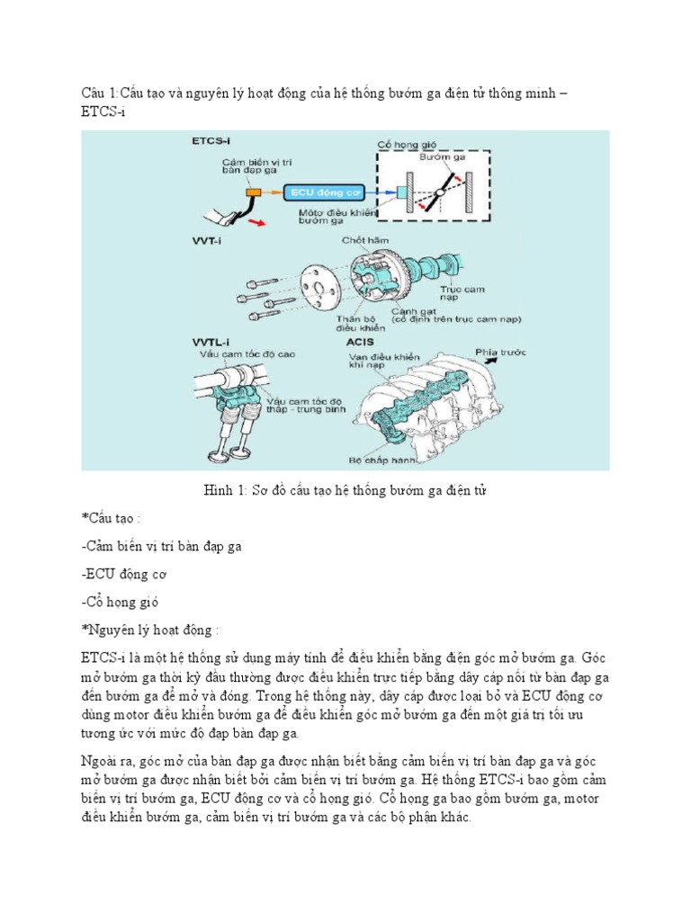 Câu 1 Và Câu 2 | PDF