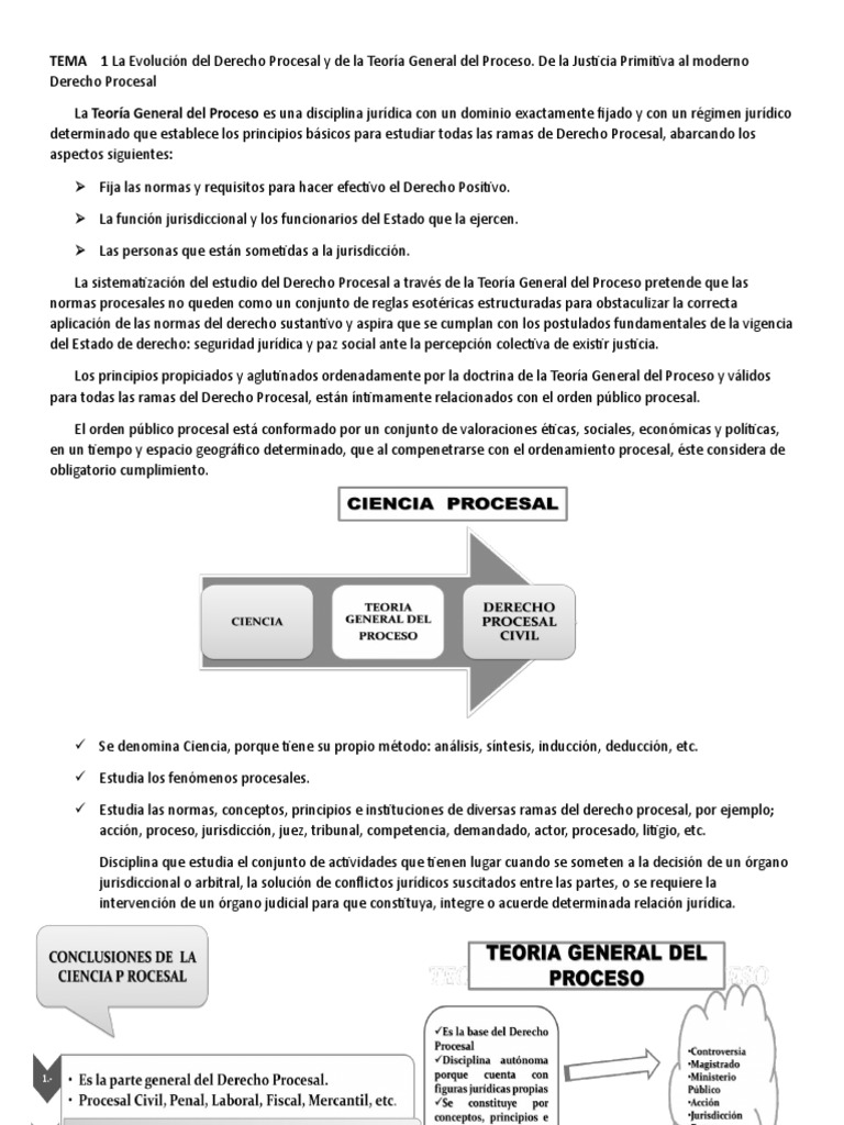 TEMA 1 La Evolución Del Derecho Procesal y de La Teoría General Del Proceso | PDF | Ley procesal ...