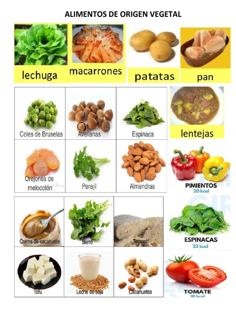 Alimentos de Origen Vegetal o Animal | PDF