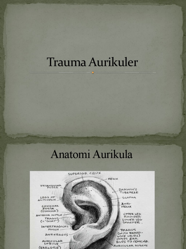 SGL Trauma Aurikula THT | PDF