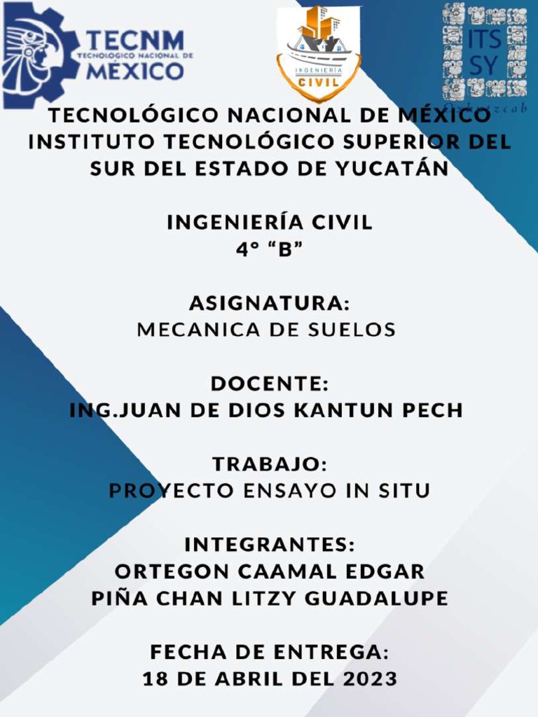 Reporte Ensayo in Situ | PDF | Permeabilidad (Ciencias de la Tierra) | Agua