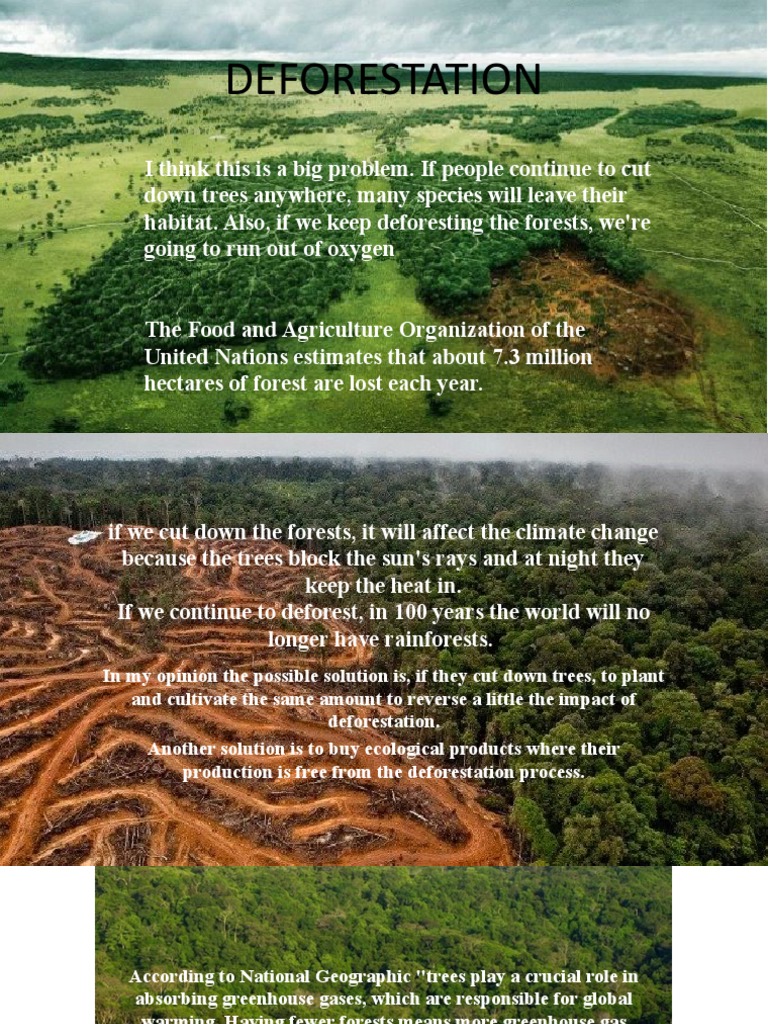 DEFORESTATION | PDF