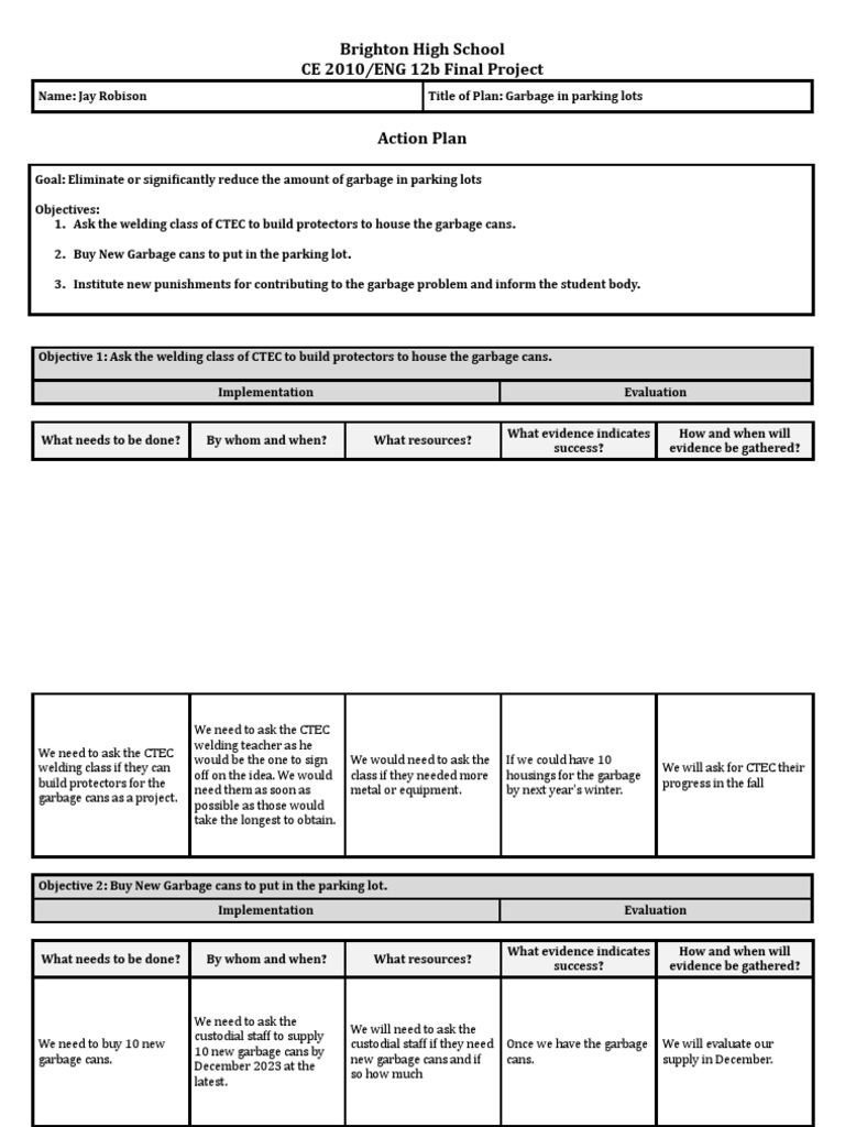 Action Plan Final | PDF
