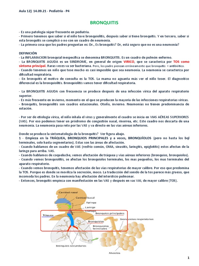 Aula 12 - Pediatria - BRONQUITIS | PDF | Tos | Bronquitis