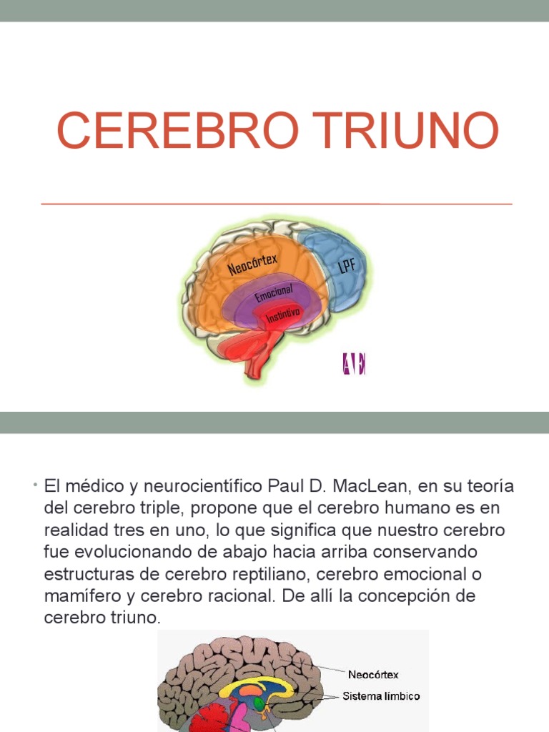 Cerebro Triuno. Imagen | PDF | Las emociones | Cerebro