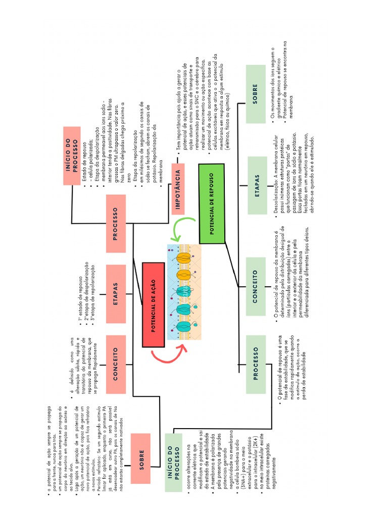 Mapa Mental PDF | PDF