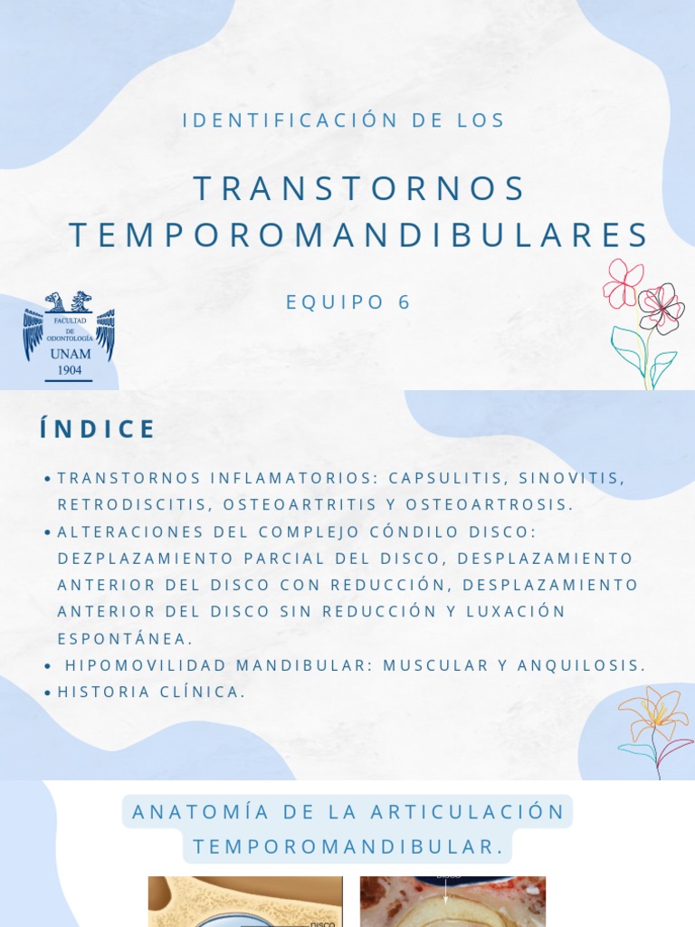 Transtornos de La ATM | PDF | Articulación | Especialidades Medicas