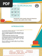 Técnicas de Laminectomía | PDF | La columna vertebral | Cirugía