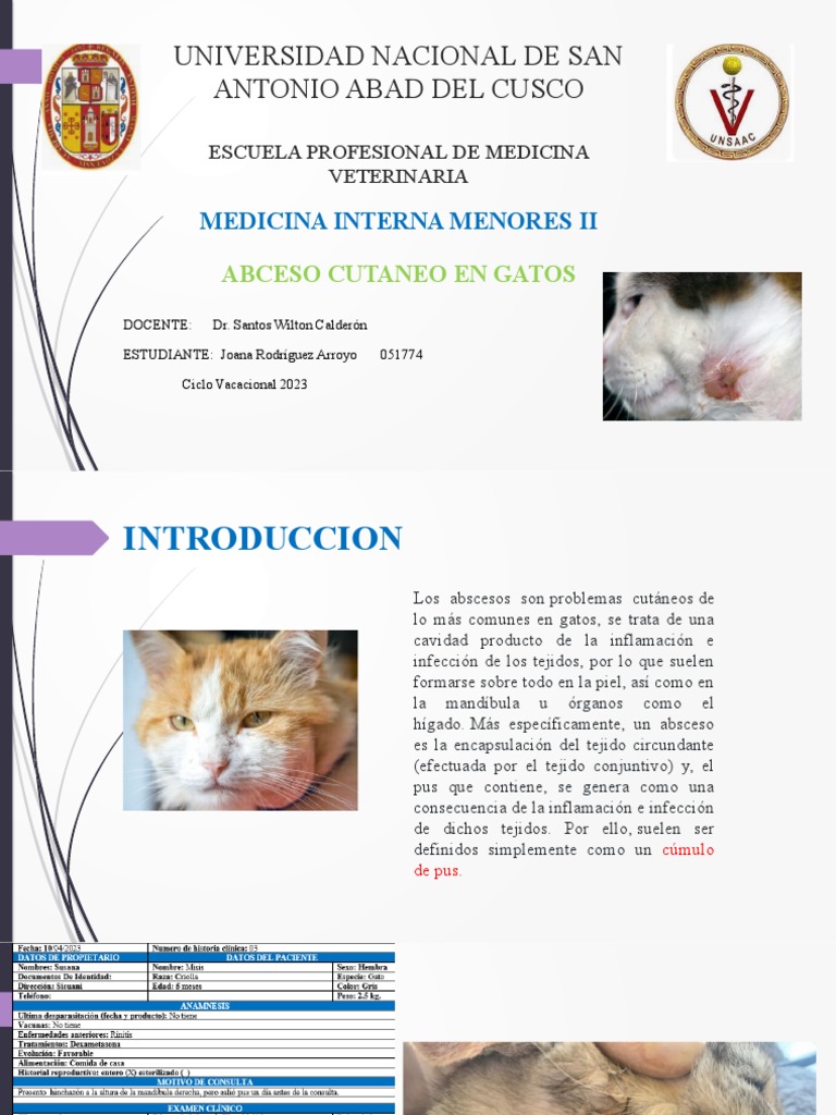 Abceso Cutaneo en Gatos | PDF | Bacterias Gram-negativo | Enfermedades ...