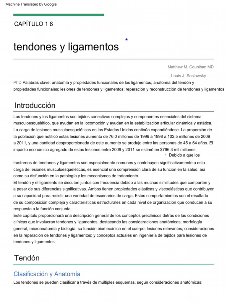 Basic Science 18 Tendons | PDF