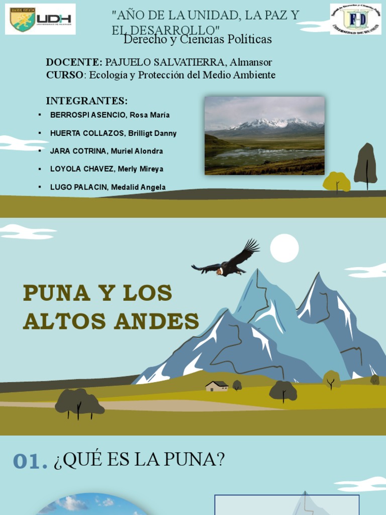 G7 - Puna y Los Altos Andes | PDF | Geografía Física | Ciencias de la ...