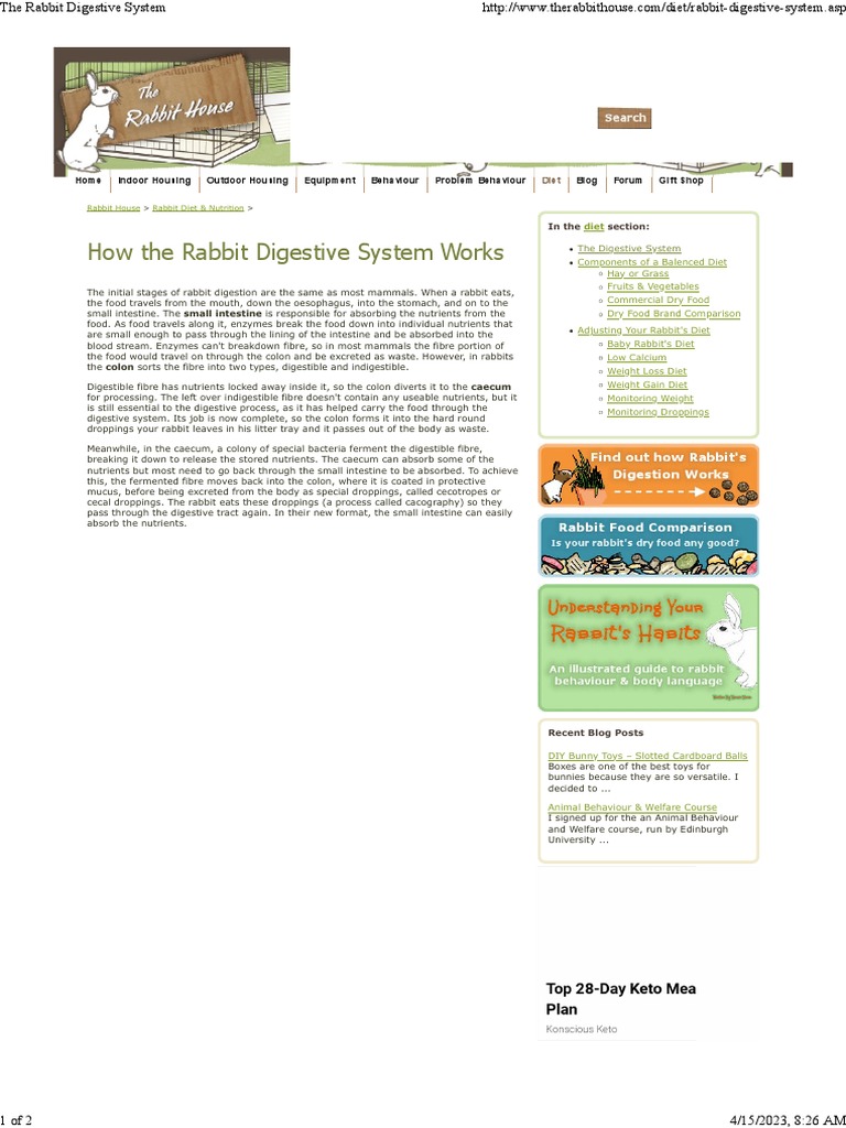 Understanding Rabbit Digestion | PDF | Digestion | Dietary Fiber