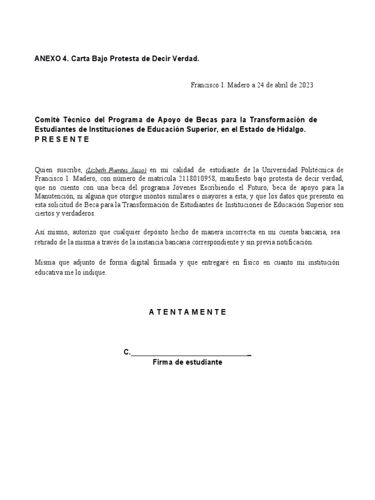 ANEXO 4 Carta Bajo Protesta Decir Verdad | PDF