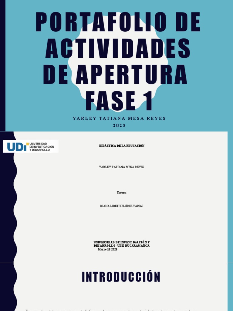 Portafolio de Actividades | PDF