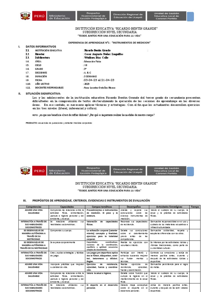 Experiencia de Aprendizaje N 1 Tercer Grado 2023 | Descargar gratis PDF | Aprendizaje | Enseñando