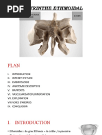 5-ANATOMIE DE L'OREILLE INTERNE Labyrinthe Osseux N@sser | PDF ...