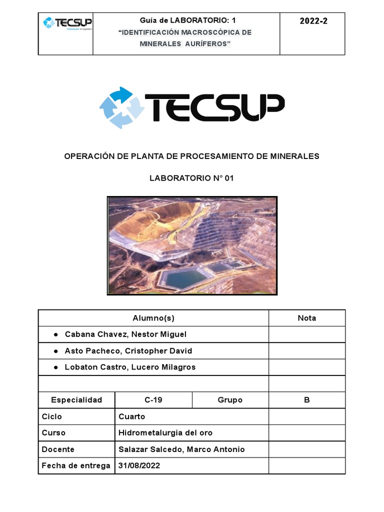 Lab 01 S01 | PDF | Oro | Paladio