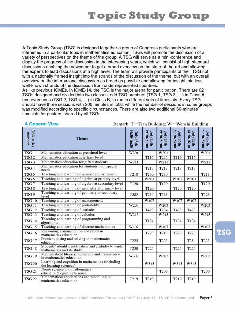 Icme 14-TSG 23 Visualizacion | PDF | Cognition | Science