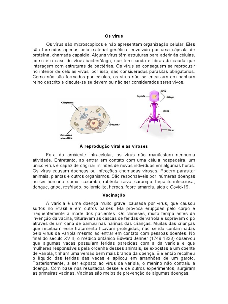 2 Aula Virus 7 Ano Eja Pdf Vírus Vacinas