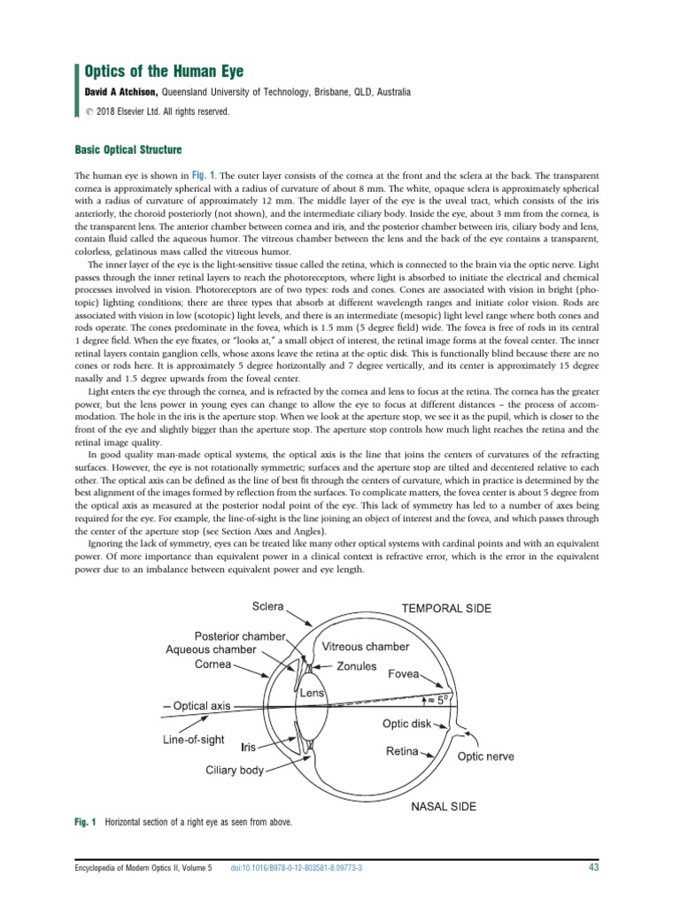 Atchison 2017 | PDF | Eye | Human Eye