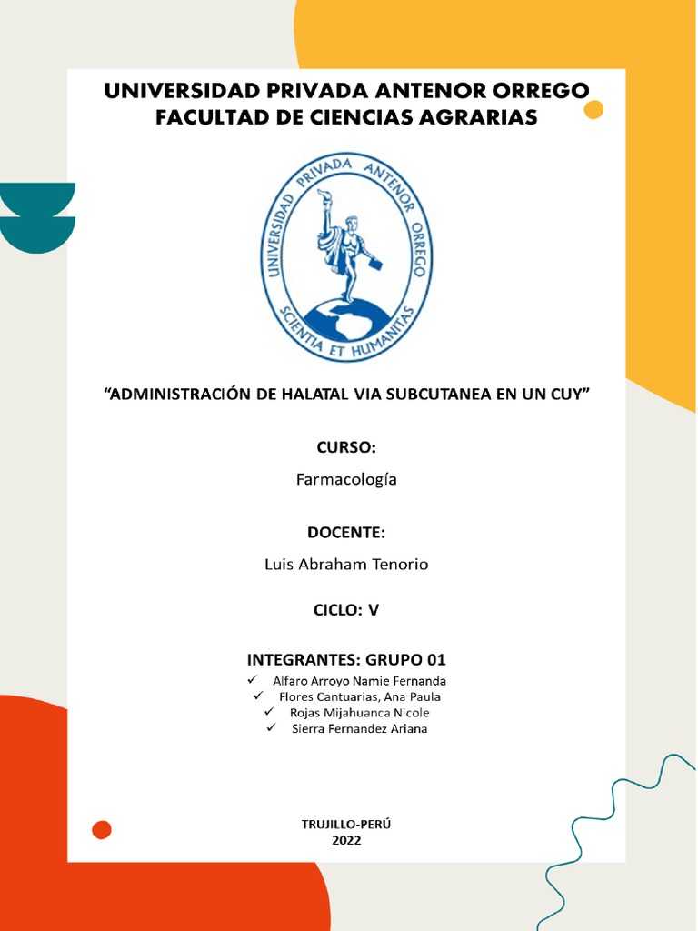 Informe de Cuy (Halatal) | PDF | Farmacocinética | Farmacología