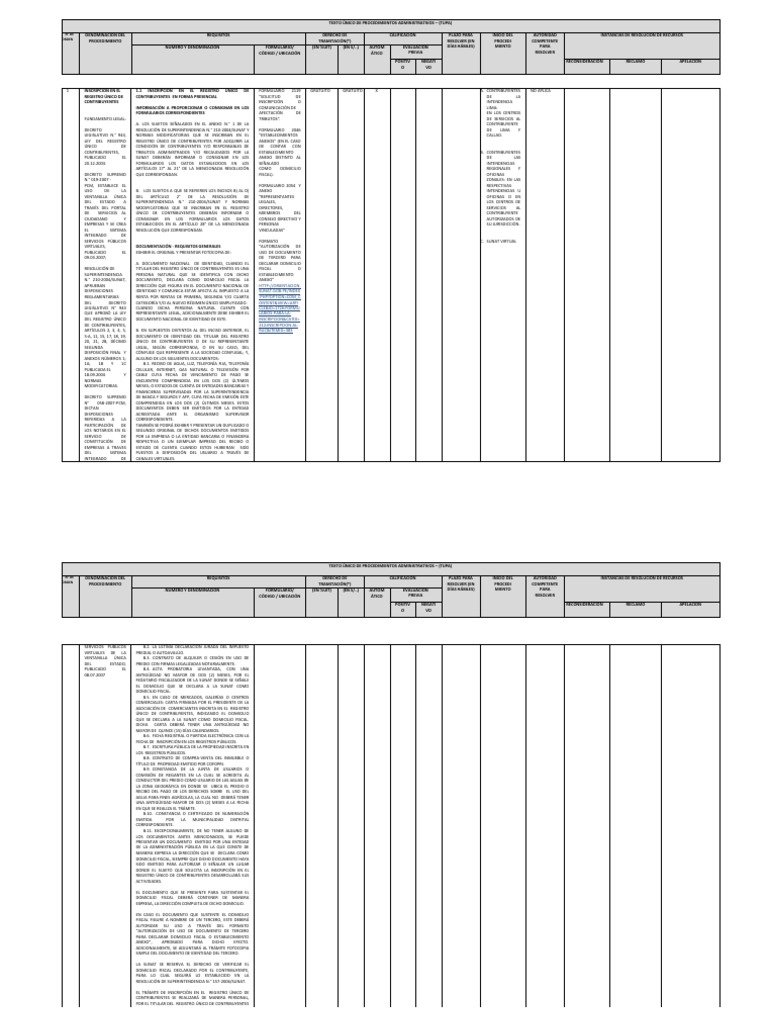 Tupa - Consolidado SUNAT | PDF