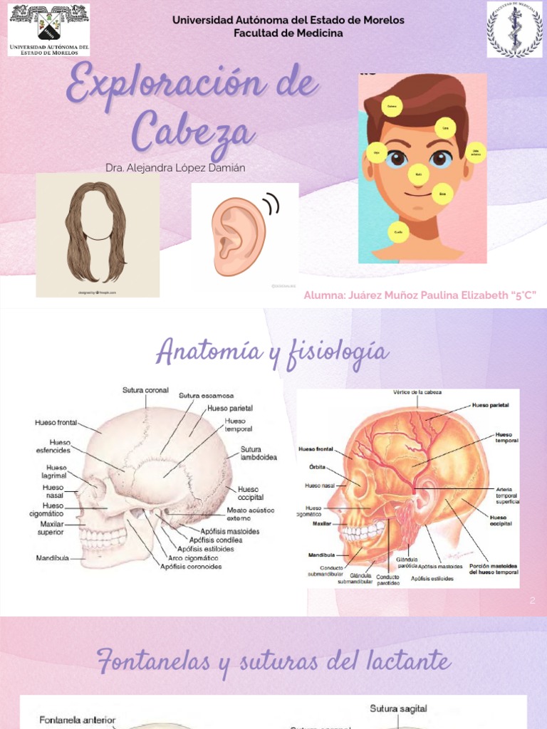 Exploración Física de la Cabeza | PDF | Cráneo | Examen físico