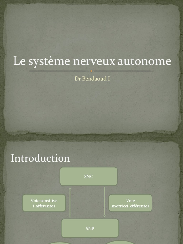 Le Système Nerveux Autonome | PDF | Système nerveux autonome ...