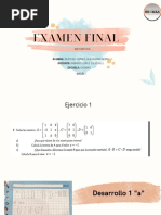 Paradigma de integraciòn-IE PDF | PDF | Enfermería | Paradigma