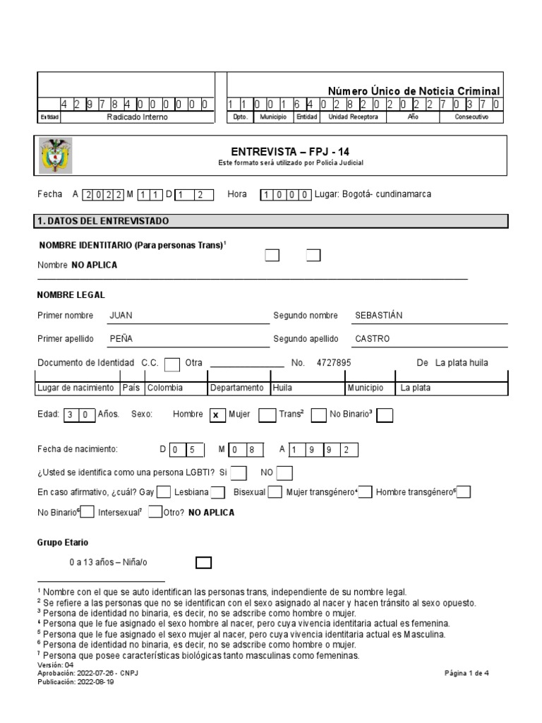 FPJ 14 Entrevista V4 PDF | PDF | Transgénero | Estudios LGBTQIA+