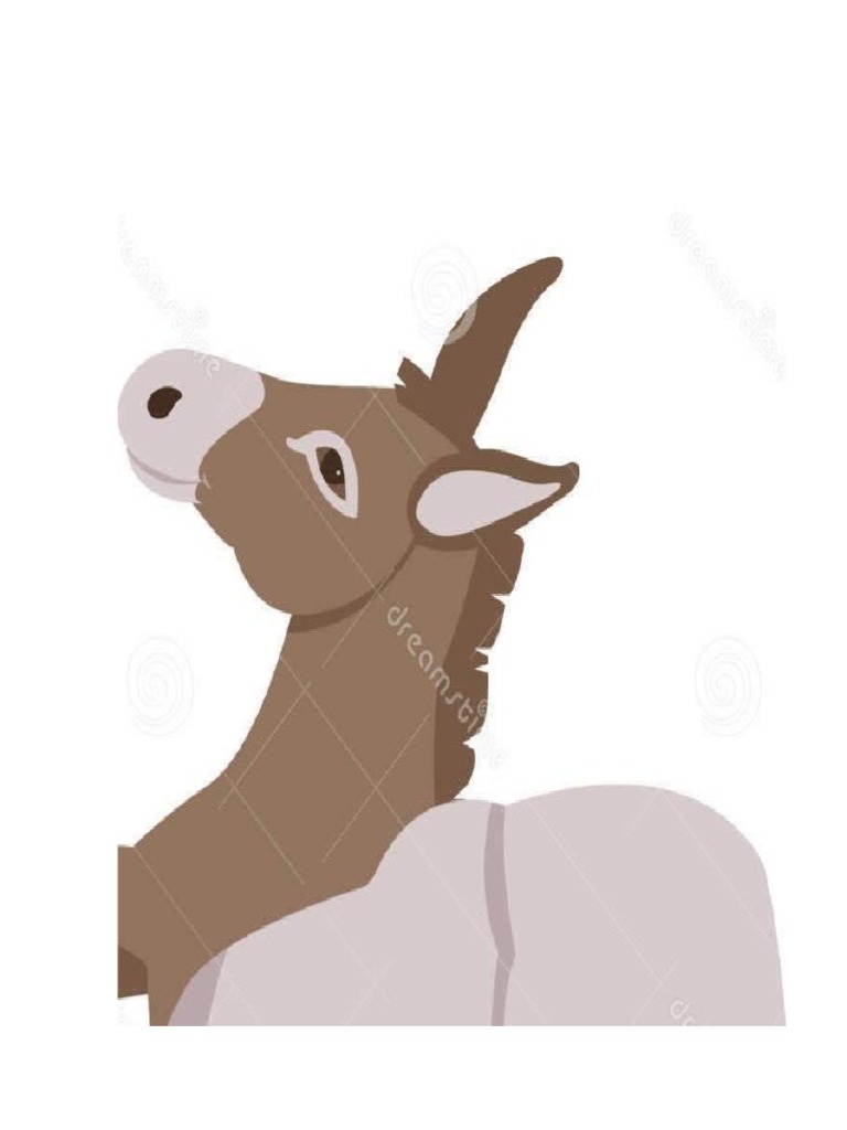 Burros De Carga Pdf