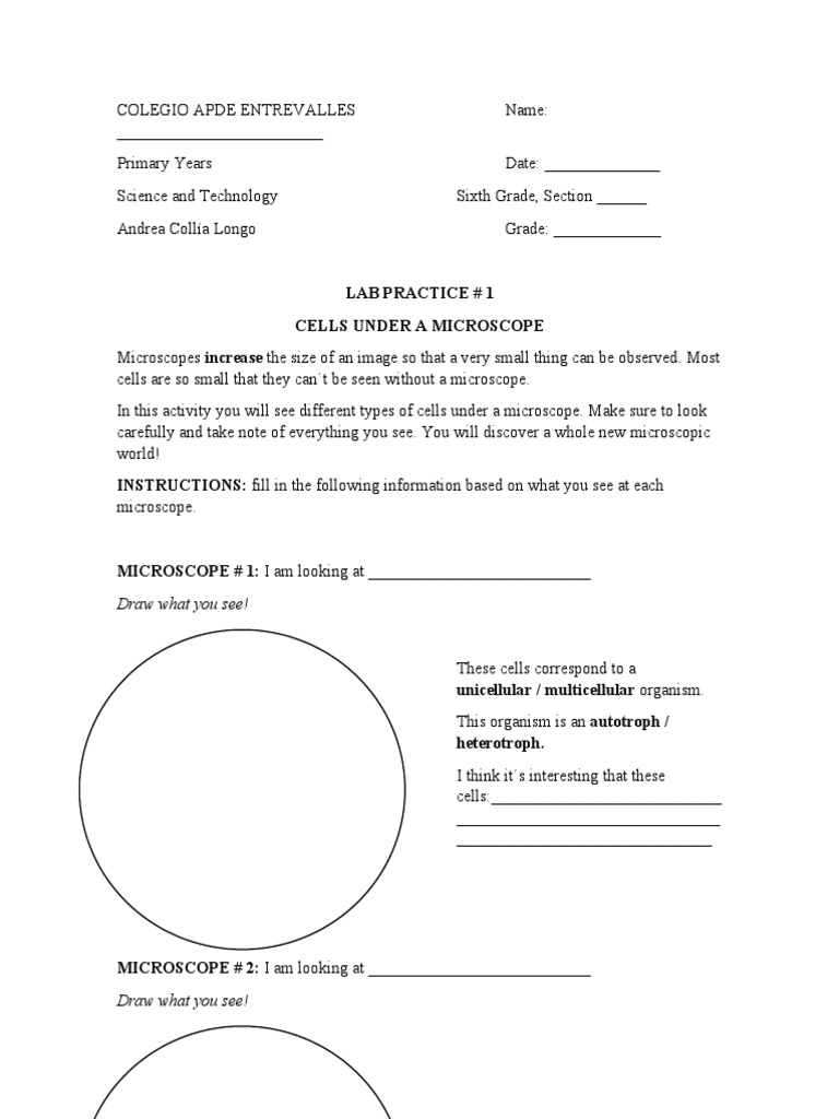 Lab Cells Under A Microscope Pdf Cell Biology Organisms
