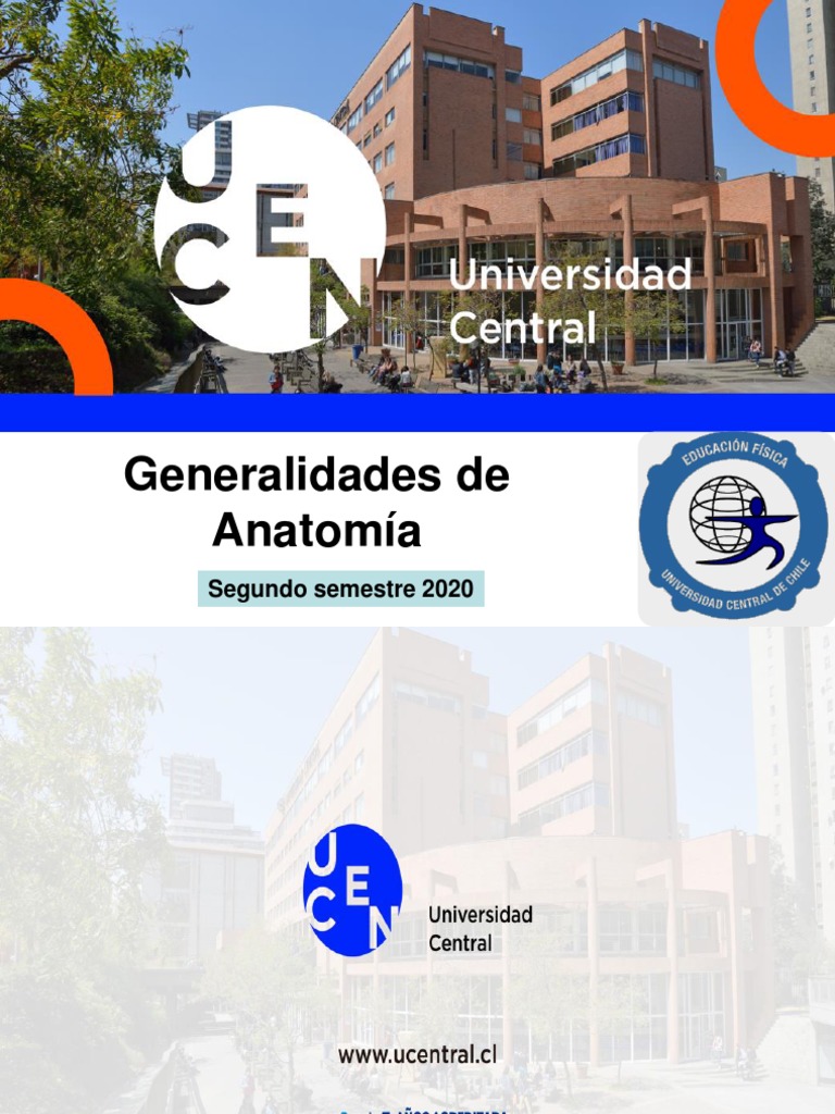 1 Generalidades Anatomía Pdf Pdf Anatomía Términos Anatómicos De