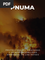 PNUMA: Objetivos y Funciones 2024 | PDF | Programa del Medio Ambiente ...