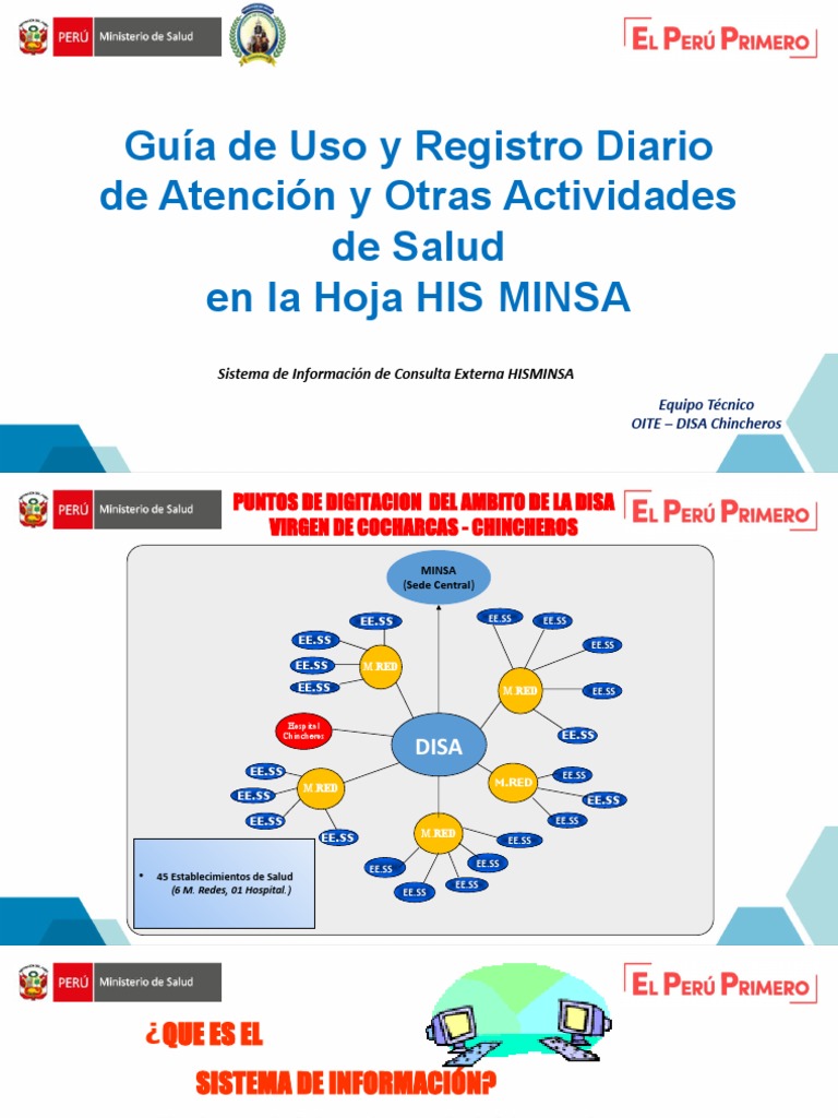 Guía de Uso del Sistema HISMINSA | PDF | Información | Medicina