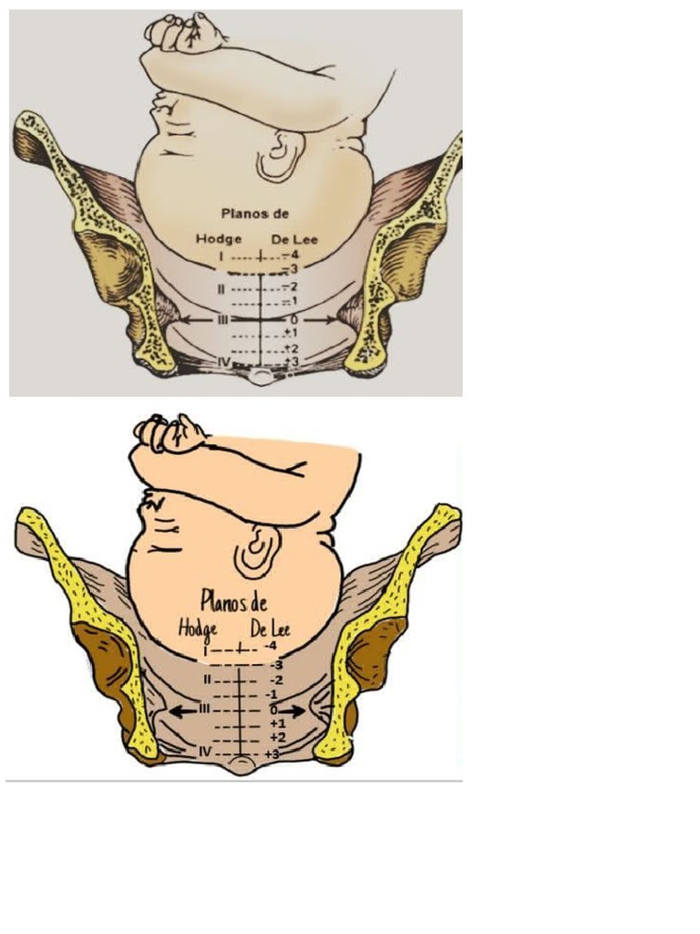 Una introducción a los planos de Hodge y su importancia en la teoría de campos cuánticos y la ...