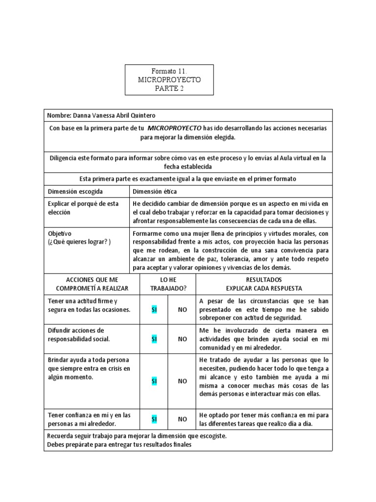 Formato 11 - Microproyecto - Parte 2 | PDF