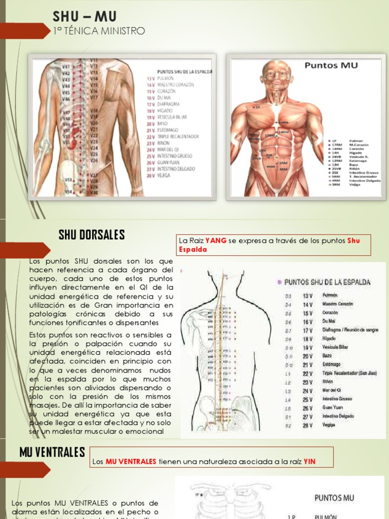 Shu - Mu | PDF | Medicina | Enfermedades y trastornos