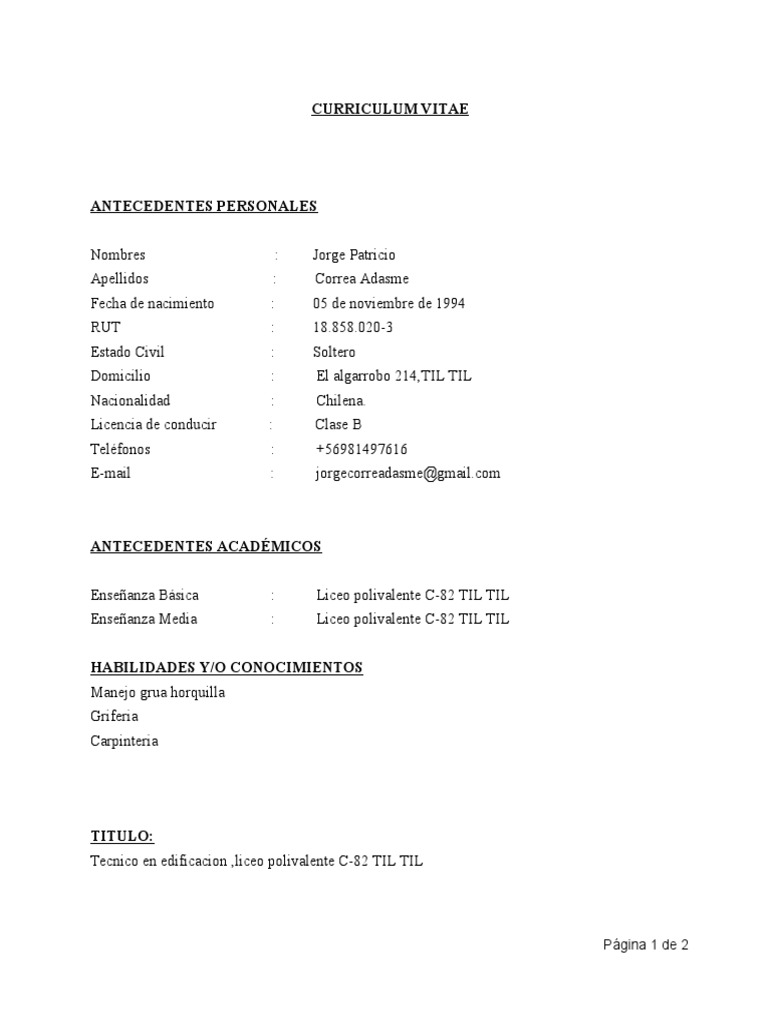 CV - Jorge Correa 2020 | PDF