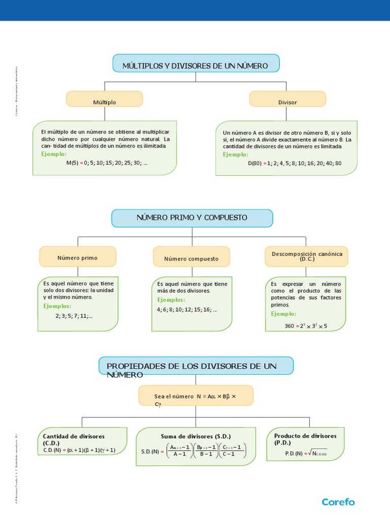 Lámina - Múltiplos y Divisores | PDF | Número primo | Conceptos matemáticos