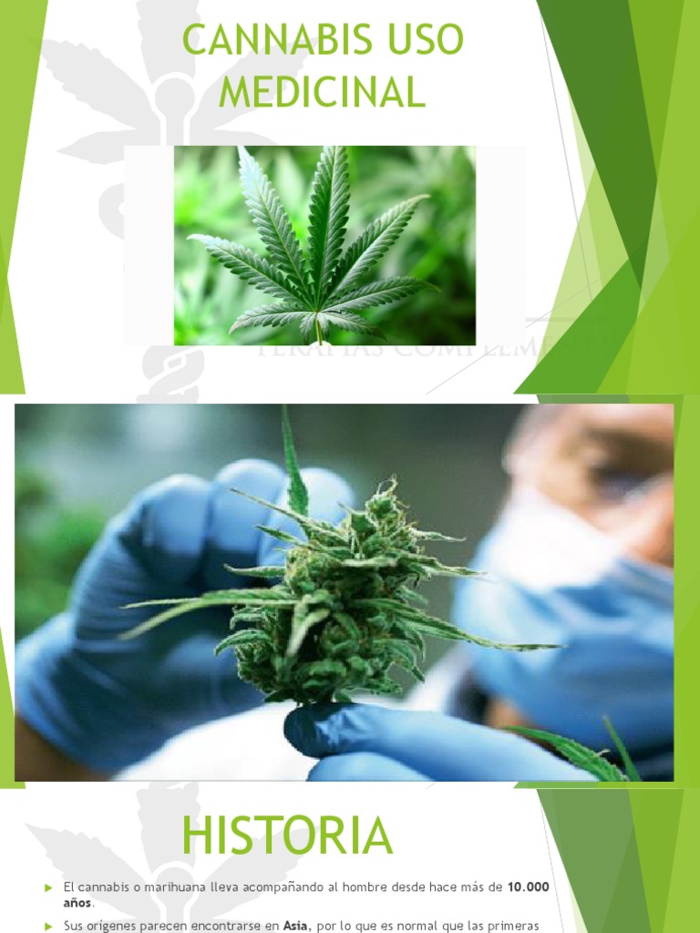 Cannabis Usos Terapéuticos 1 | PDF | Sinapsis | Cannabis (Droga) Cannabis Usos Terapéuticos 1 | PDF | Sinapsis | Cannabis (Droga)