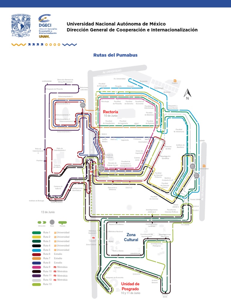 Pumabus | PDF | Universidad | Science