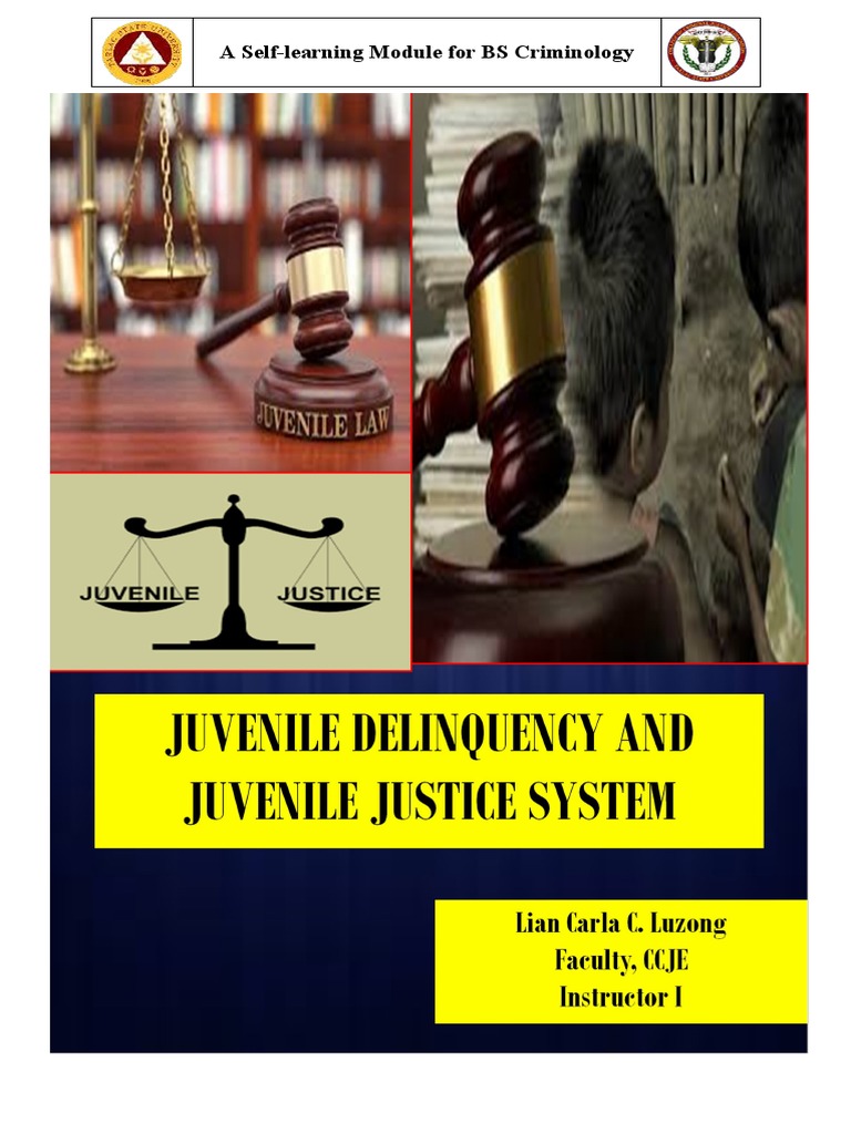 Juvenile Delinquency and Juvenile Justice System | PDF | Deviance ...