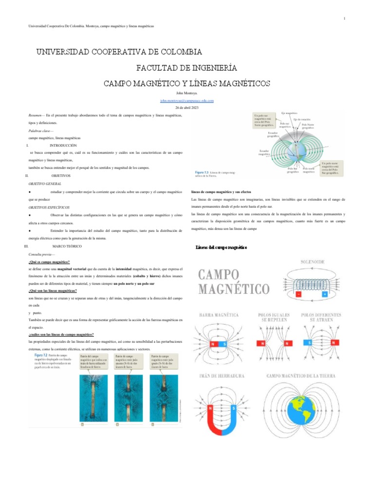 Campos y Líneas Magnéticas | PDF | Campo magnético | Imán
