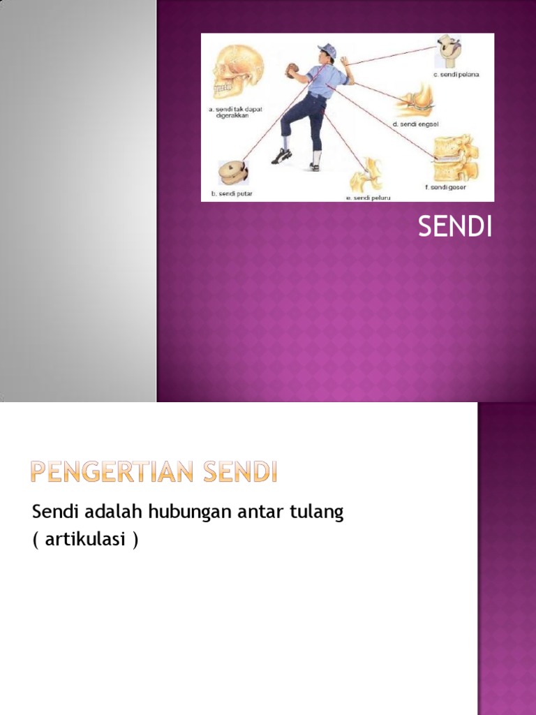 Anatomi Sendi | PDF