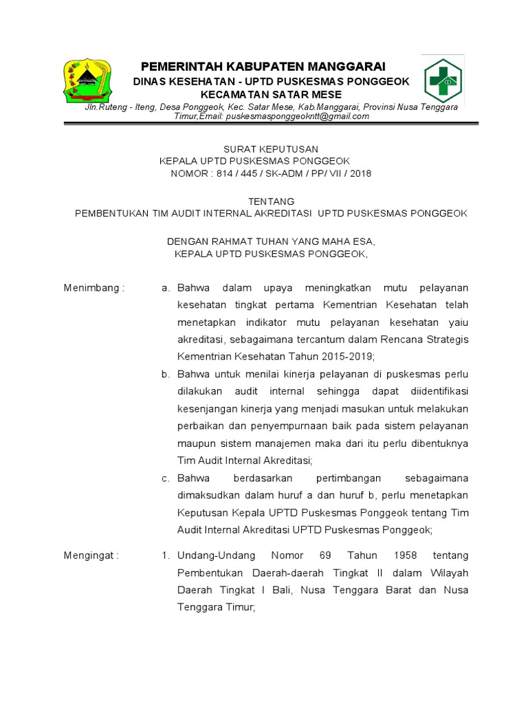 Pembentukan Tim Audit Internal Puskesmas | PDF