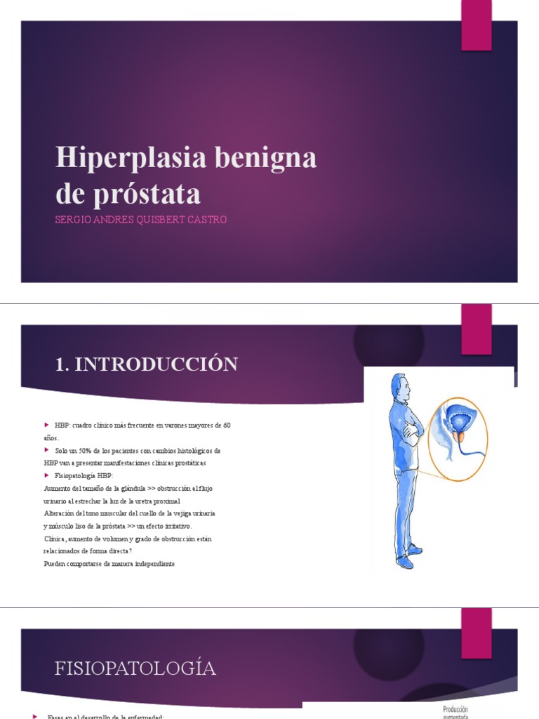 Hiperplasia Benigna Cap. 55 | PDF | Vejiga urinaria | Sistema ...