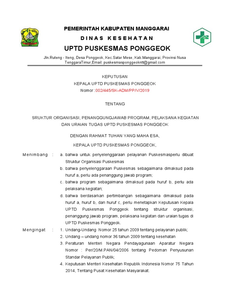 SK STKR ORGANISASI, PJ PROGRAM, Revisi | PDF | Karier & Perkembangan