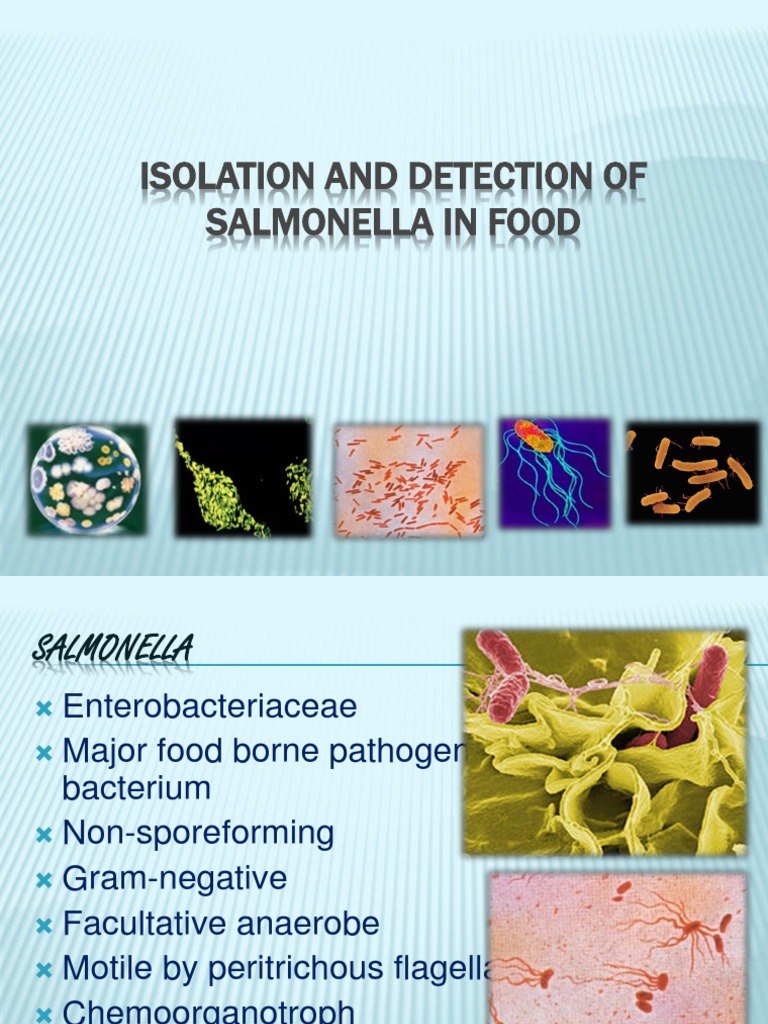 Isolation and Detection of Salmonella in Food | PDF | Growth Medium ...